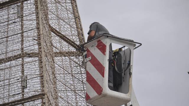 La Catedral de Jaén se engalana y recibe al mítico árbol de Navidad