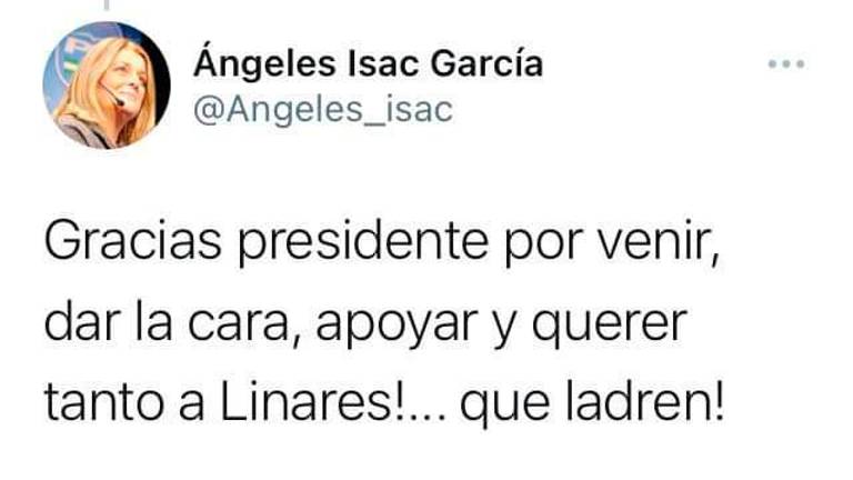 La teniente de alcalde de Linares pide perdón por un polémico tuit La teniente de alcalde de Linares pide perdón por un polémico tuit