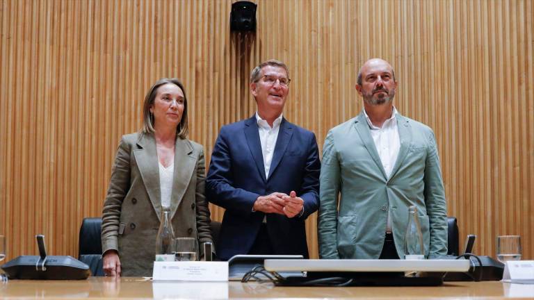 Feijóo propone a Pedro Rollán como presidente del Senado y a Cuca ...