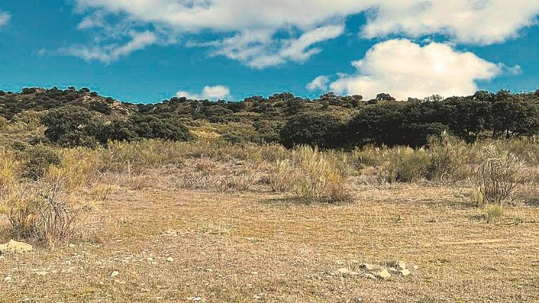 Más de 600 firmas contra una macrogranja en Solera