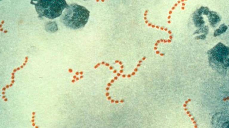 Cinco menores ingresados por el estreptococo del grupo A, uno de ellos en la UCI