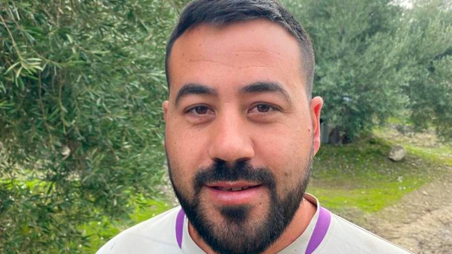 Tajos olivareros a pleno rendimiento