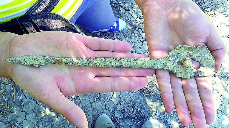 Avances para saber más sobre “Baécula”